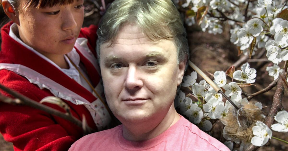Roman Linhart 1. díl: V Číně jsou oblasti, kde již nejsou žádné včely a ...