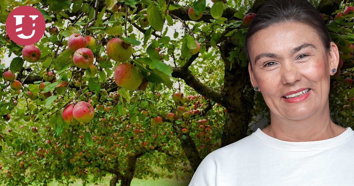 Helena Neumannová 2. díl: Za bílého dne jsme si nechali ukrást ...