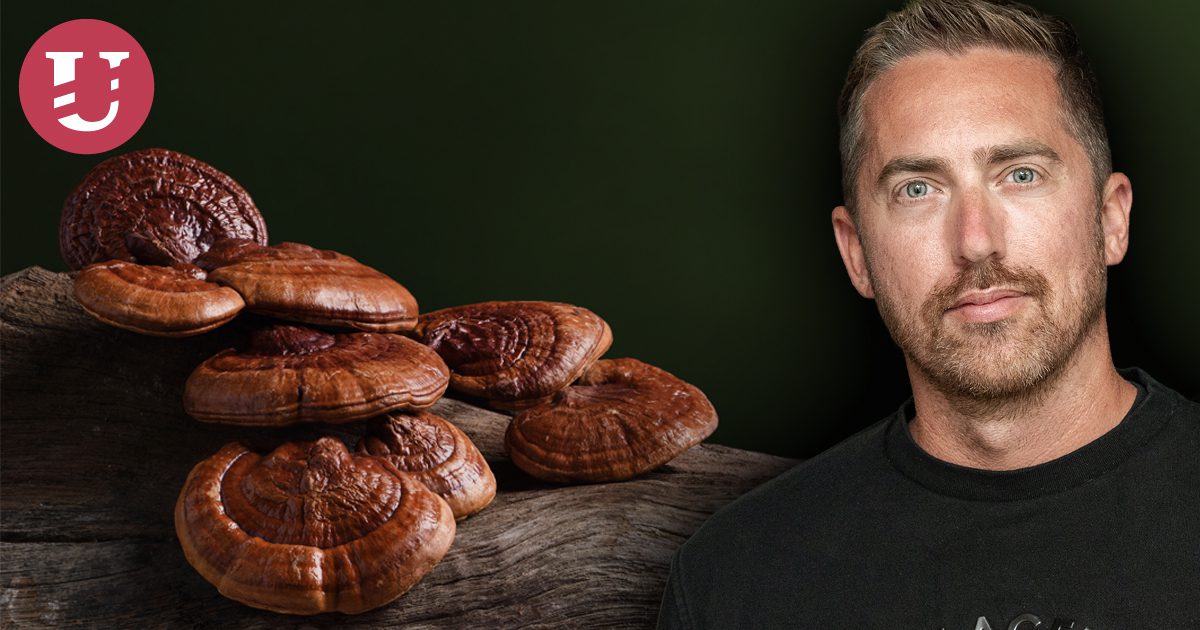 Daniel Fiala 1. díl: Dřevokazné houby se v Číně používají k léčení ...